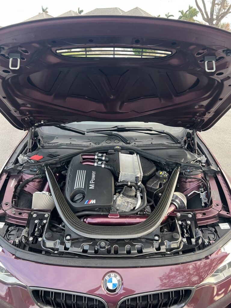 Individual Wildberry Metallic BMW F80 M3! Dark purple factory paint color.